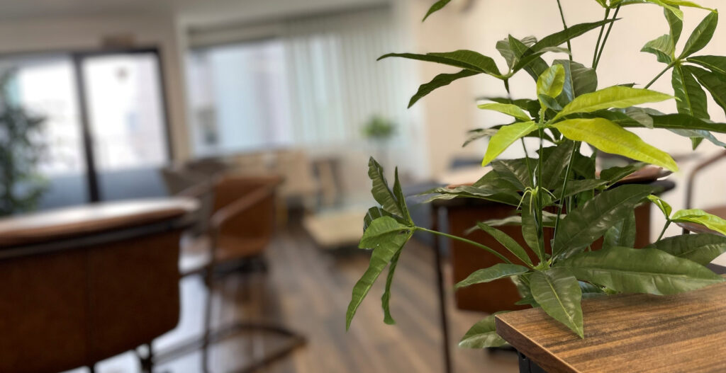 RECRUIT – NSP-Tech